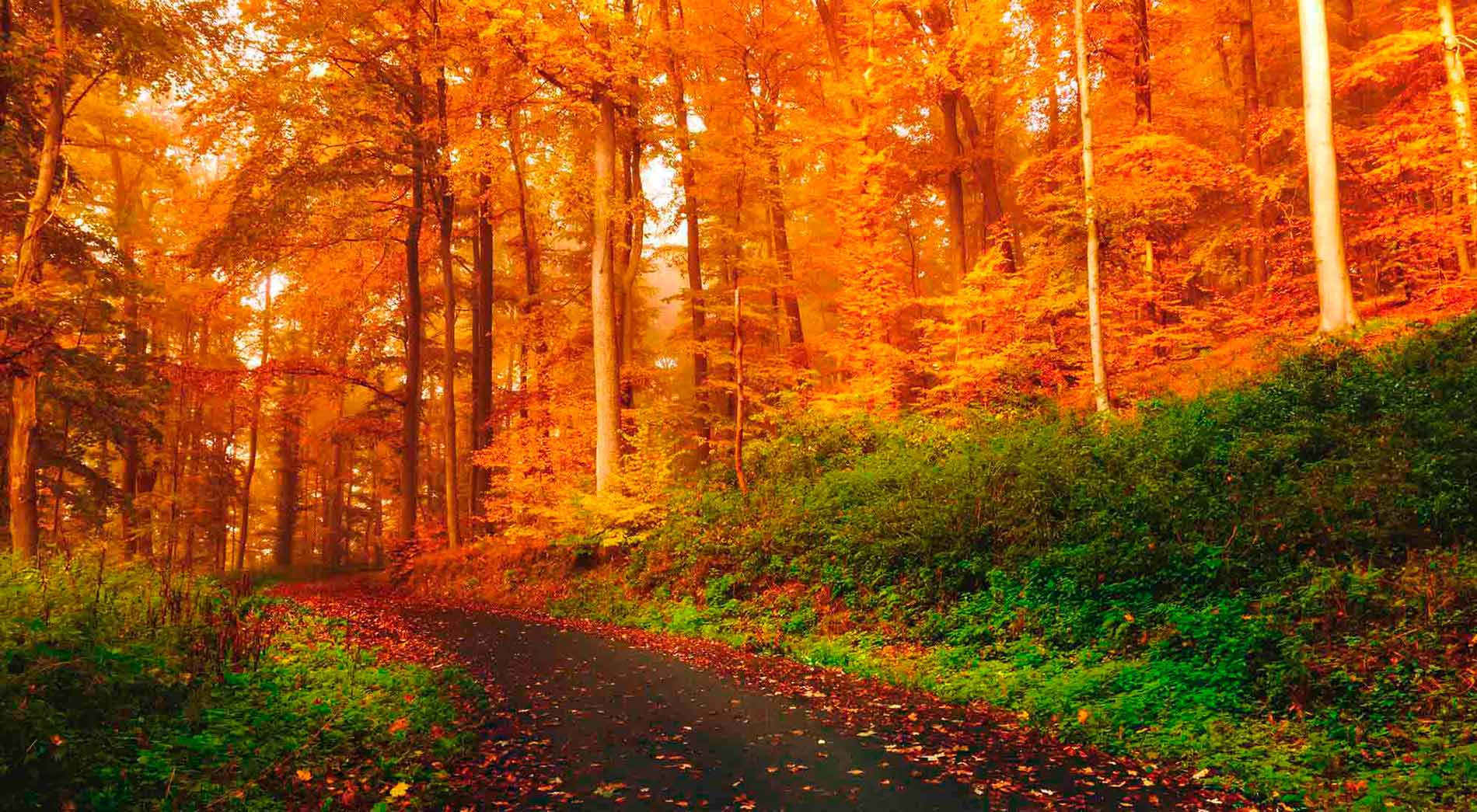 Clark's RV Center | RV Dealer in Millbrook, Alabama