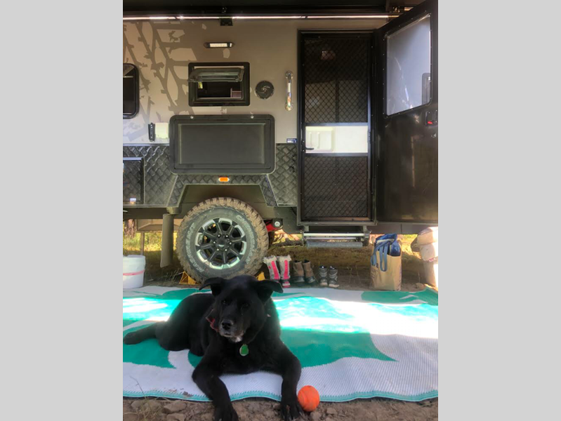 Opus Camper OPUS Travel Trailer RVs For Sale